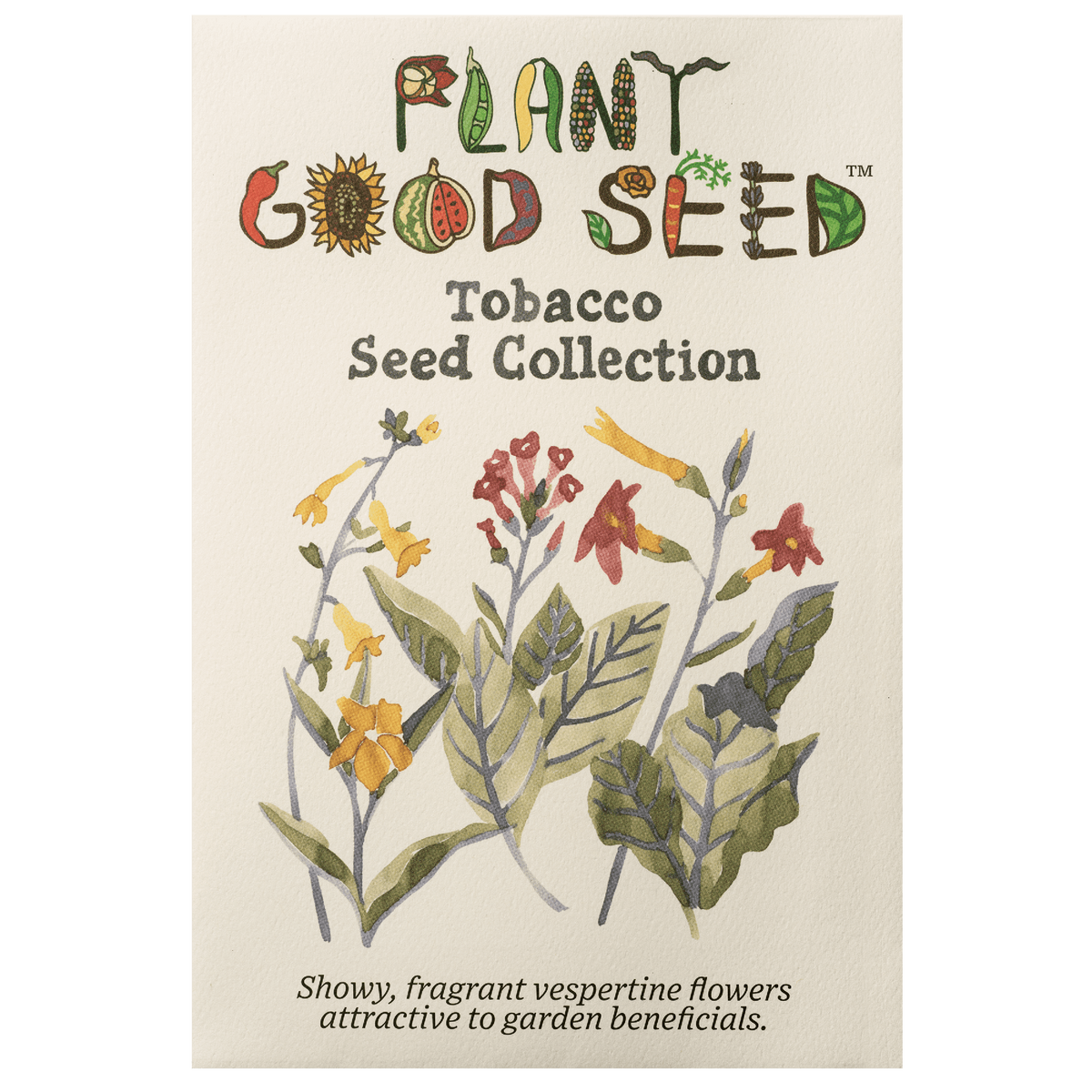 Tobacco Seed Collection 6 Packets The Plant Good Seed Company