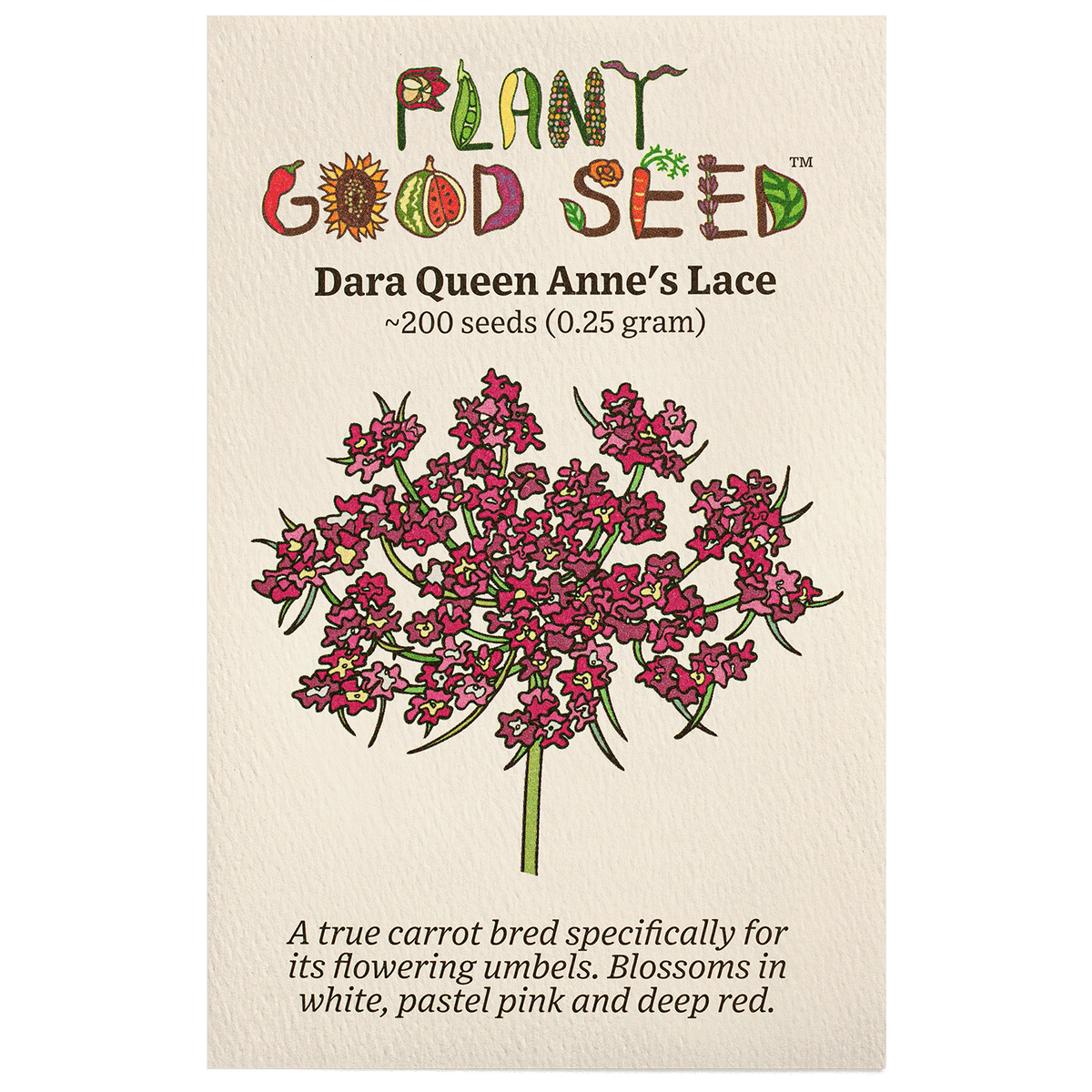 Dara Queen Anne's Lace - The Plant Good Seed Company